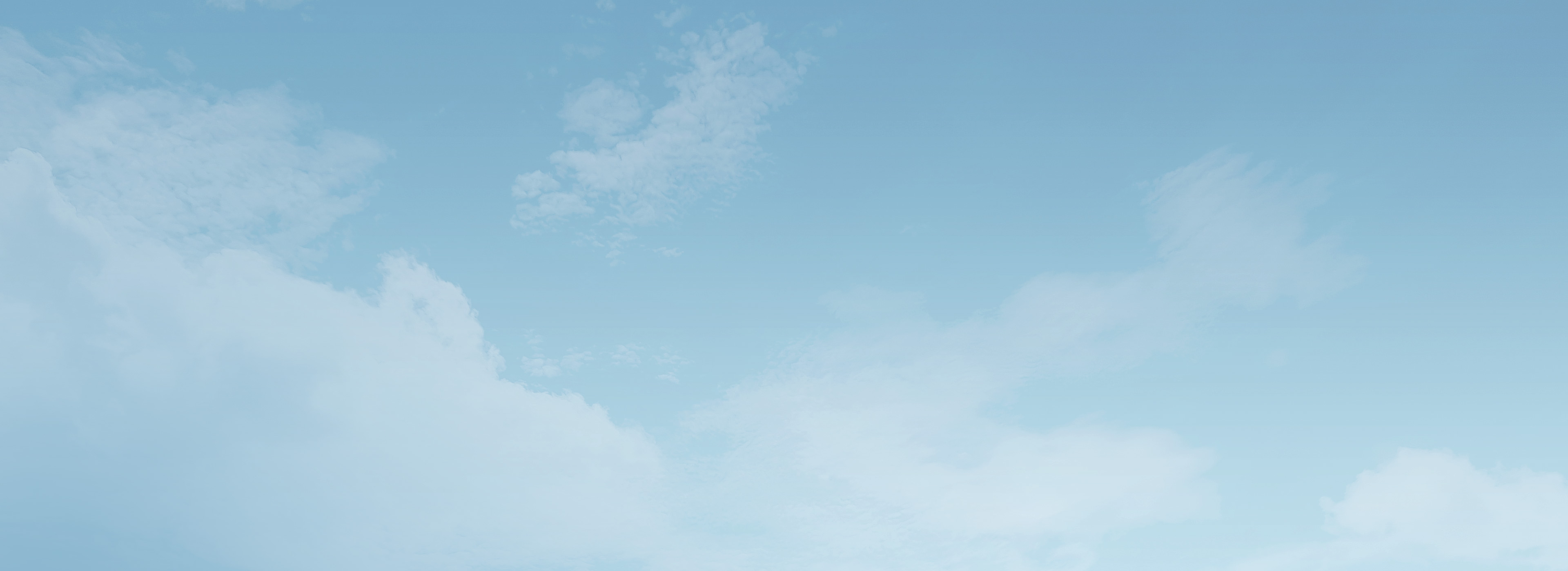 Mit Cineol: Sinolpan® forte 200 mg und 100 mg | Sinolpan®